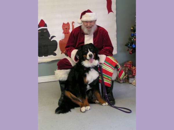 SCOTT: Karen Elizabeth of Lucan | Haskett Funeral Homes | Exeter, Lucan ...